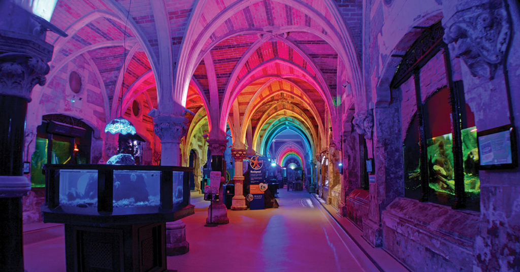 SEA LIFE Brighton - Mercure Brighton Seafront Hotel